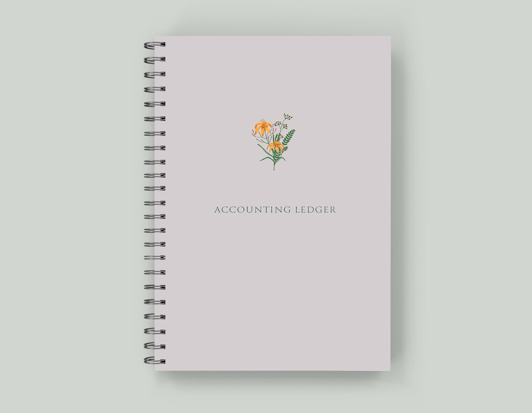 Accounting Ledger: Spiral Bound Bookkeping Business Account Ledger ...