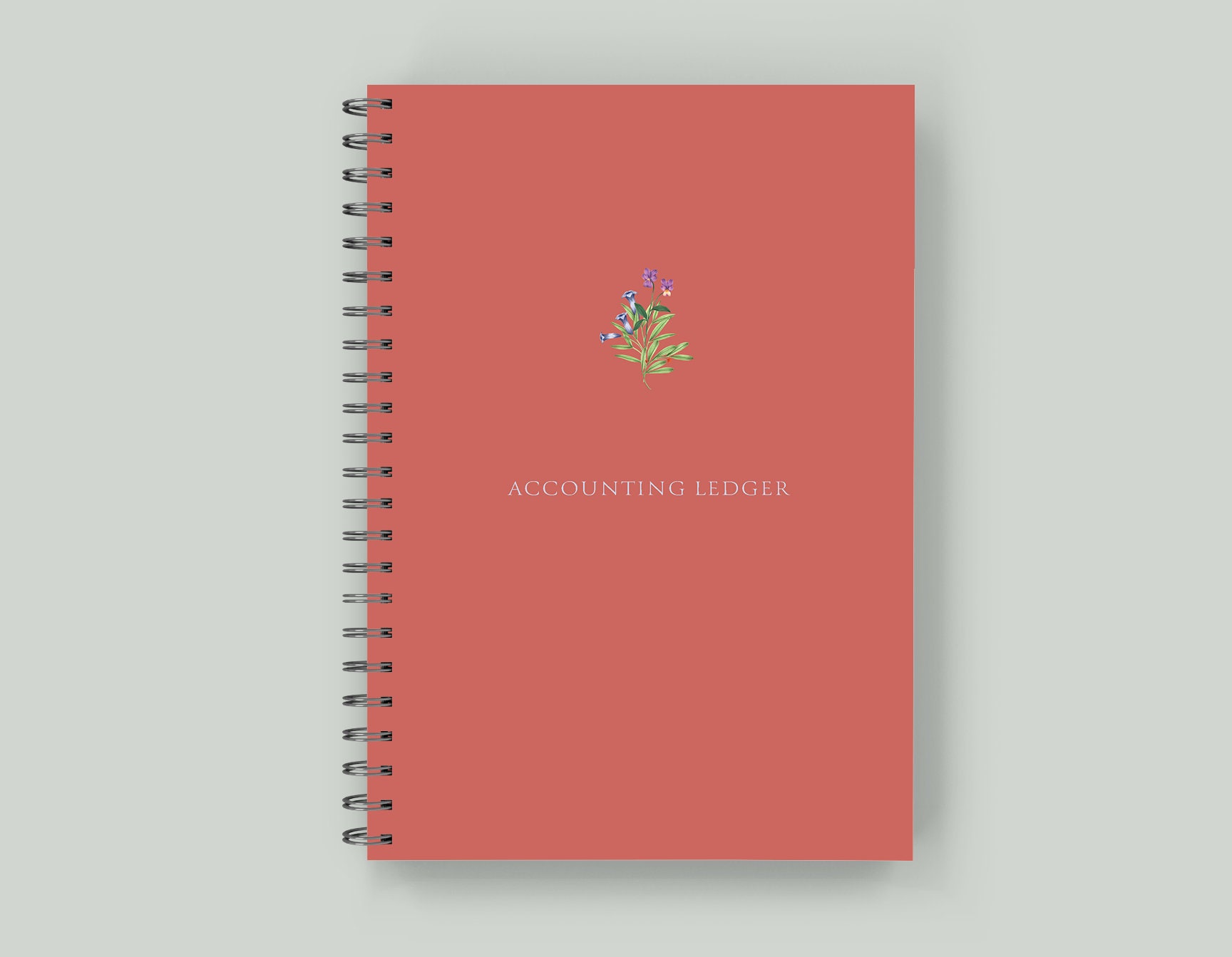 Accounting Ledger: Spiral Bound Bookkeping Business Account Ledger ...