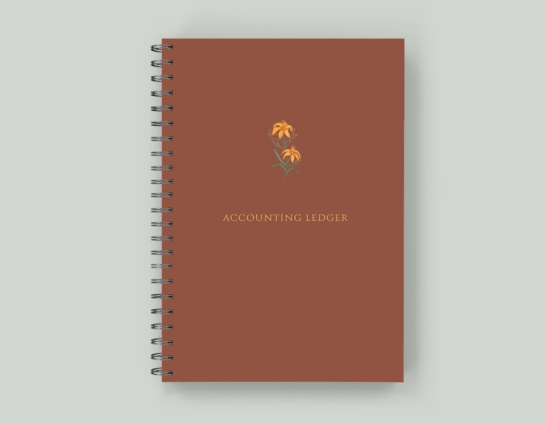 Accounting Ledger: Spiral Bound Bookkeping Business Account Ledger ...