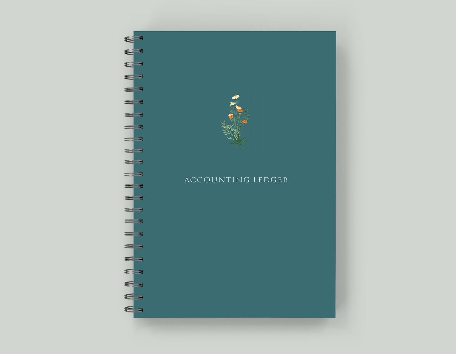 Accounting Ledger: Spiral Bound Bookkeping Business Account Ledger ...