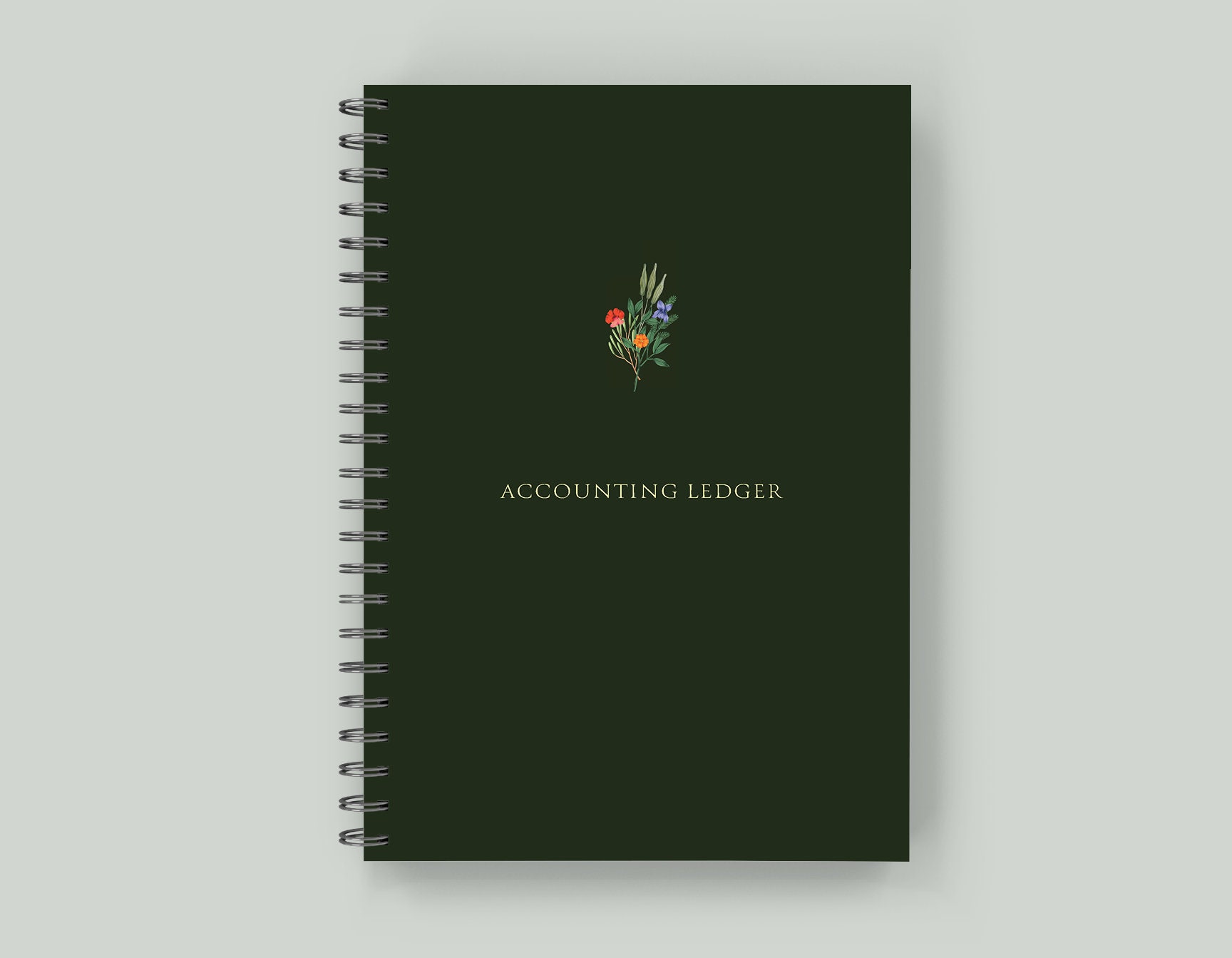 Accounting Ledger: Spiral Bound Bookkeping Business Account Ledger ...