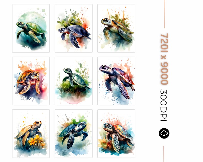Sea Turtle Clipart Pack Set 20 Pngs of High-quality Digital Clipart ...