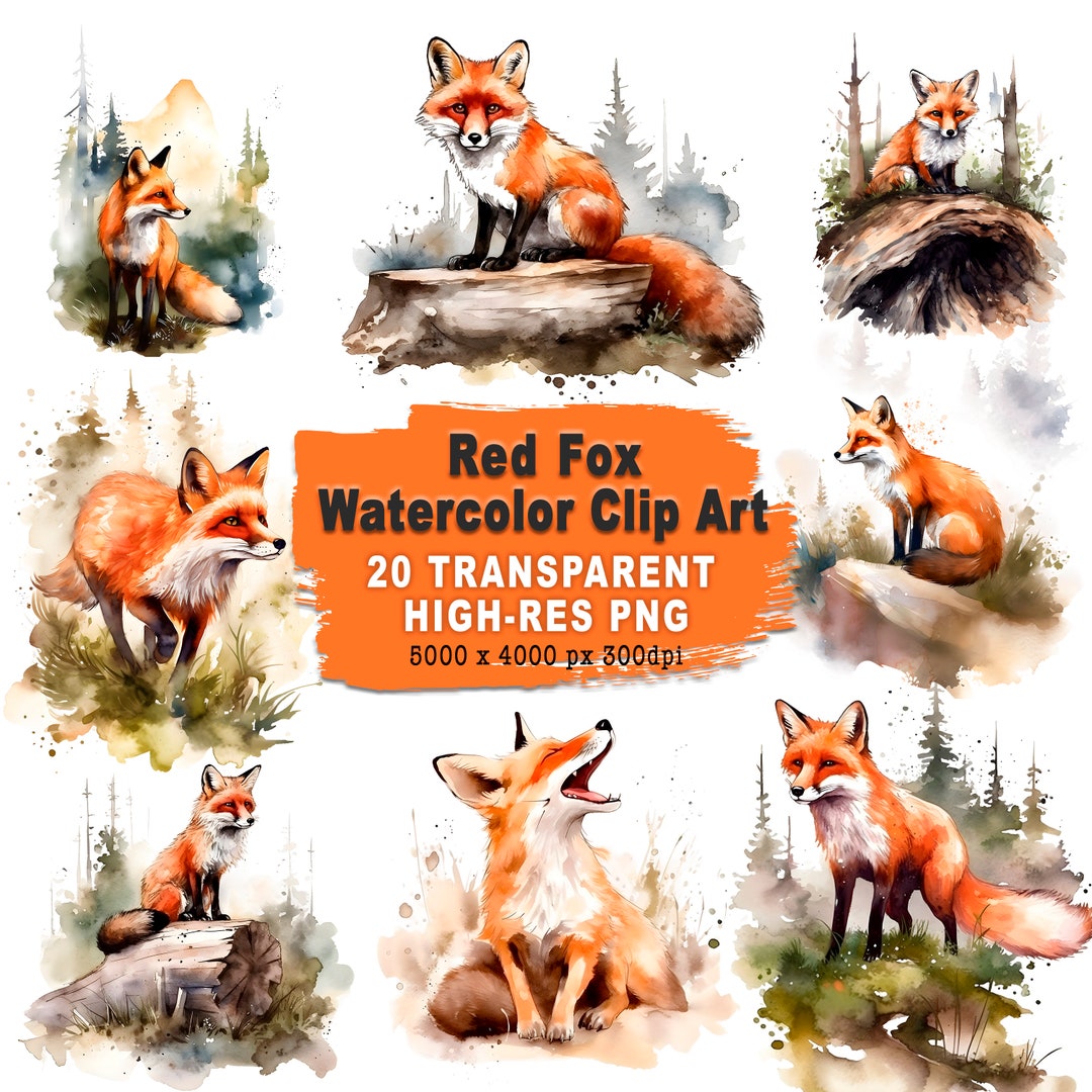 Red Fox Watercolor Clipart Pack Forest Woodland 20 High-quality ...