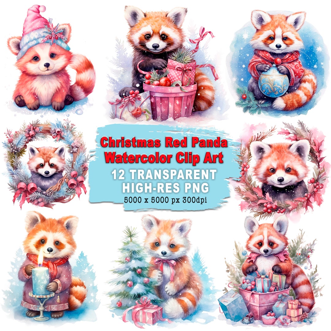 Red Panda Watercolor Christmas Clipart Bundle 12 High Resolution PNG ...