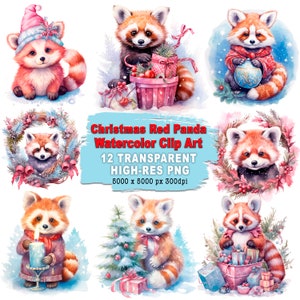 Red Panda Watercolor Christmas Clipart Bundle 12 High Resolution PNG ...