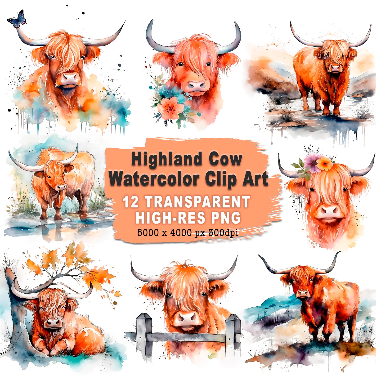 Highland Cow Clipart Bundle 12 Cute Watercolor High Resolution Png for ...