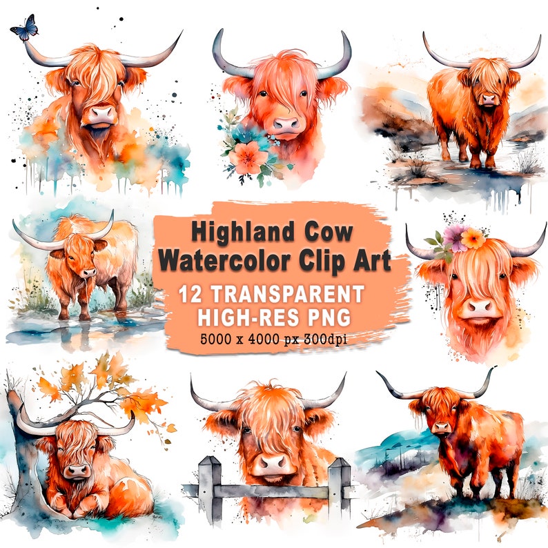 Highland Cow Clipart Bundle 12 Cute Watercolor High Resolution Png for ...