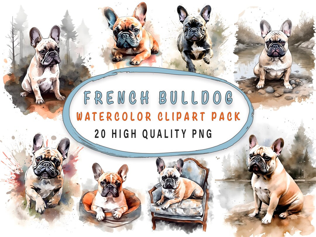 Watercolor French Bulldog Clipart 20 High-quality Images for Digital ...