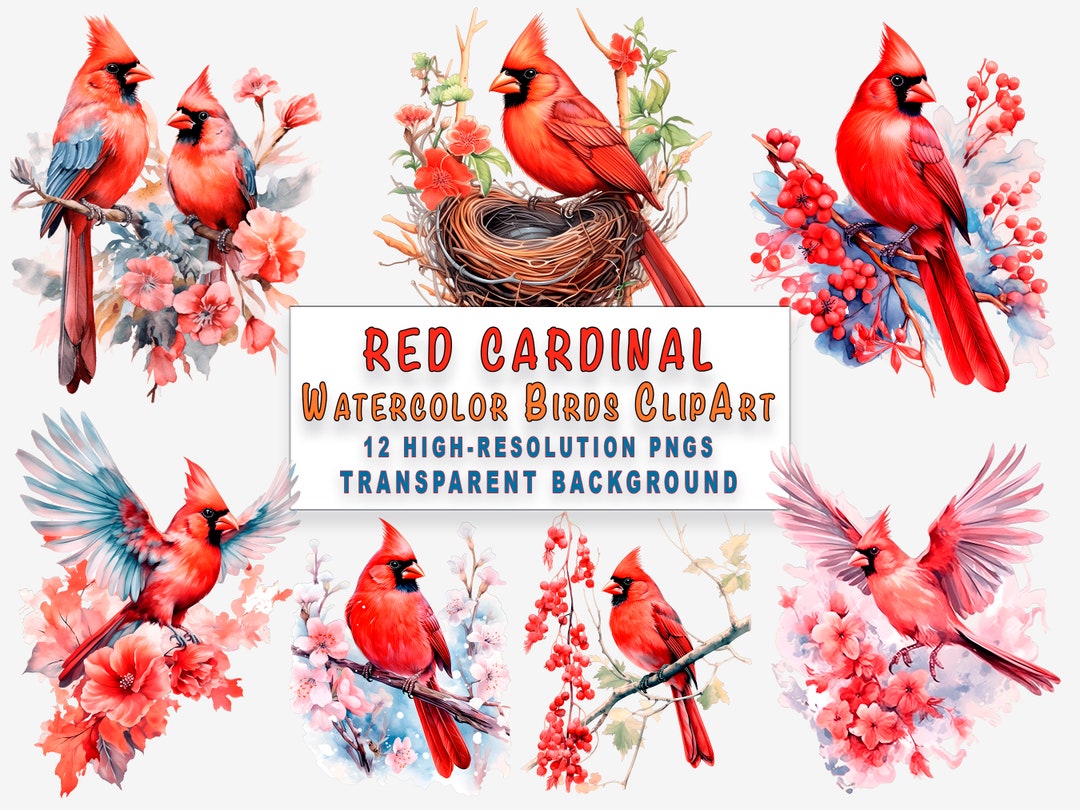 Red Cardinal Bird Nursery Watercolor Clipart Pack 12 High Resolution ...