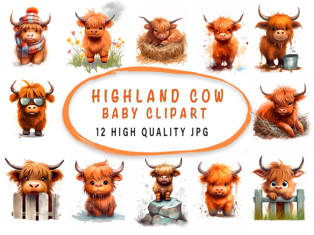 Adorable Baby Highland Cow Clipart Collection 12 High Quality JPG ...