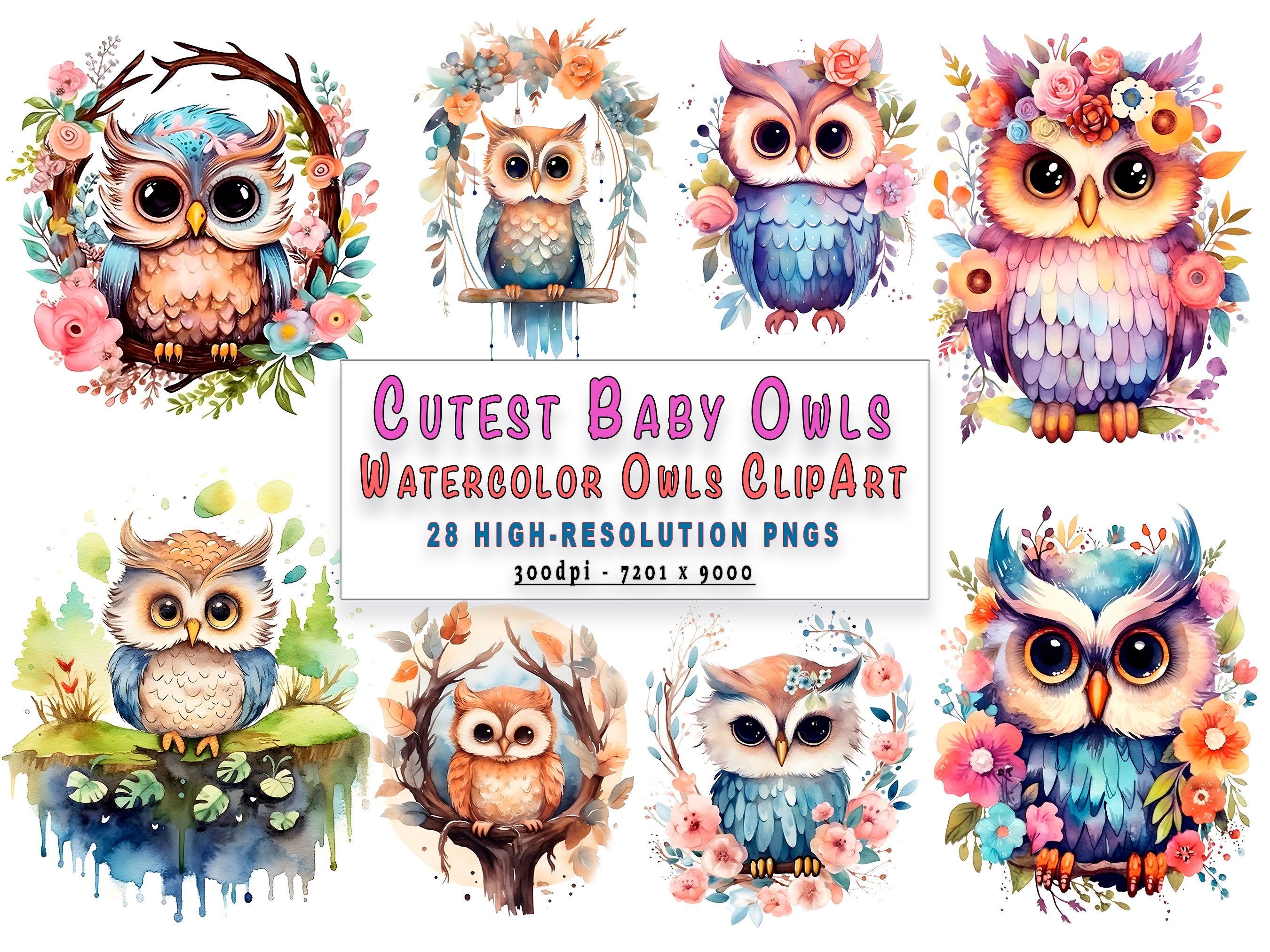 Cute Baby Owl Clip Art