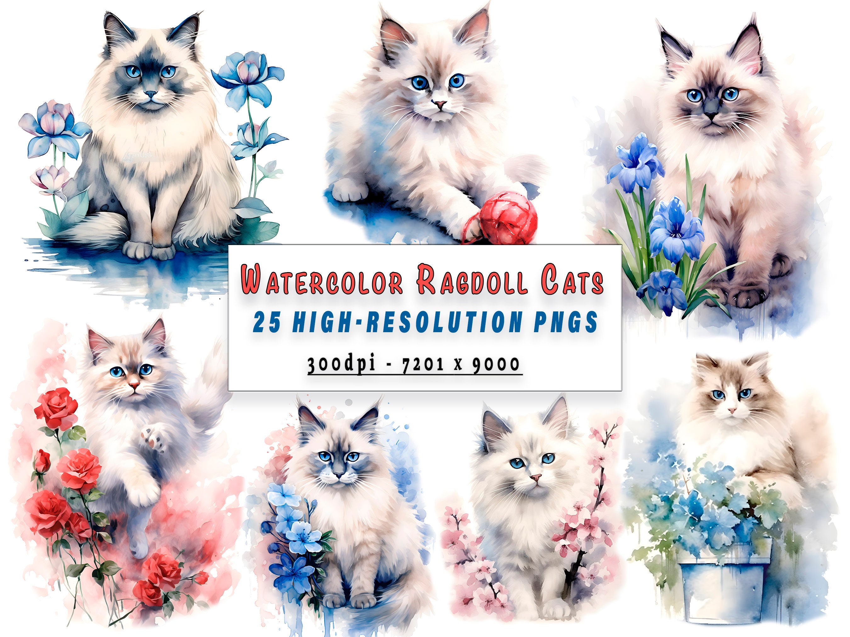 25 Adorable Watercolor Ragdoll Cat Clipart Designs for - Etsy