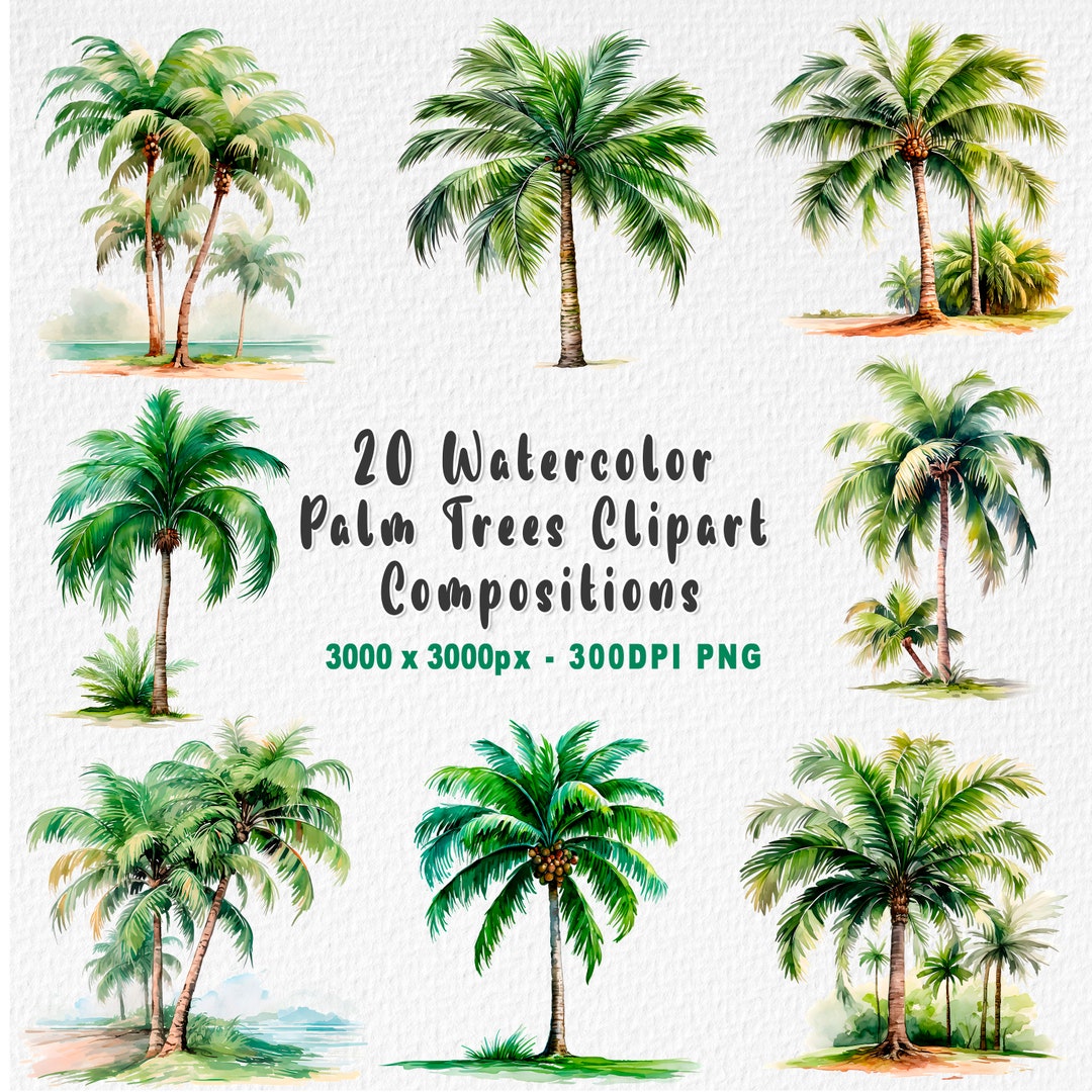 Watercolor Palm Trees Clipart Set Beach 20 High-quality PNG Images ...