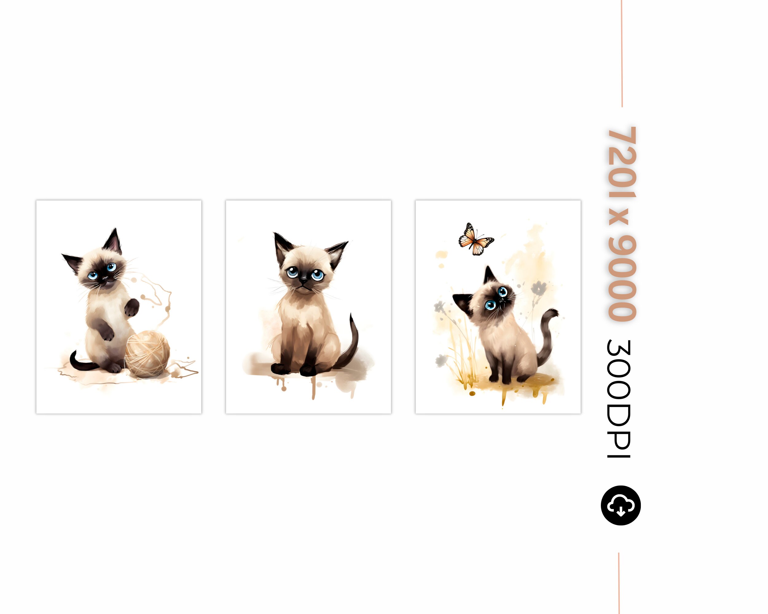 Siamese Kitten Clipart Bundle 12 High Resolution PNG Files for Design ...