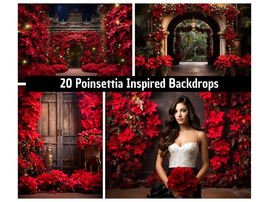 20 Digital Poinsettia Inspired Backdrops for Photography & Events ...