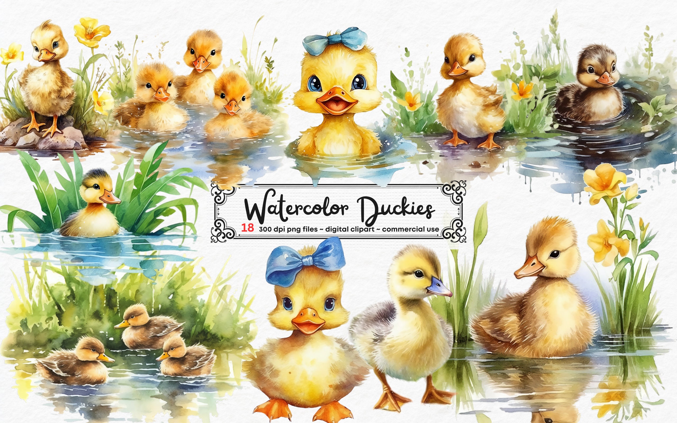 Fluffy Ducklings PNG Chicks Clipart Baby Ducks PNG Duck - Etsy