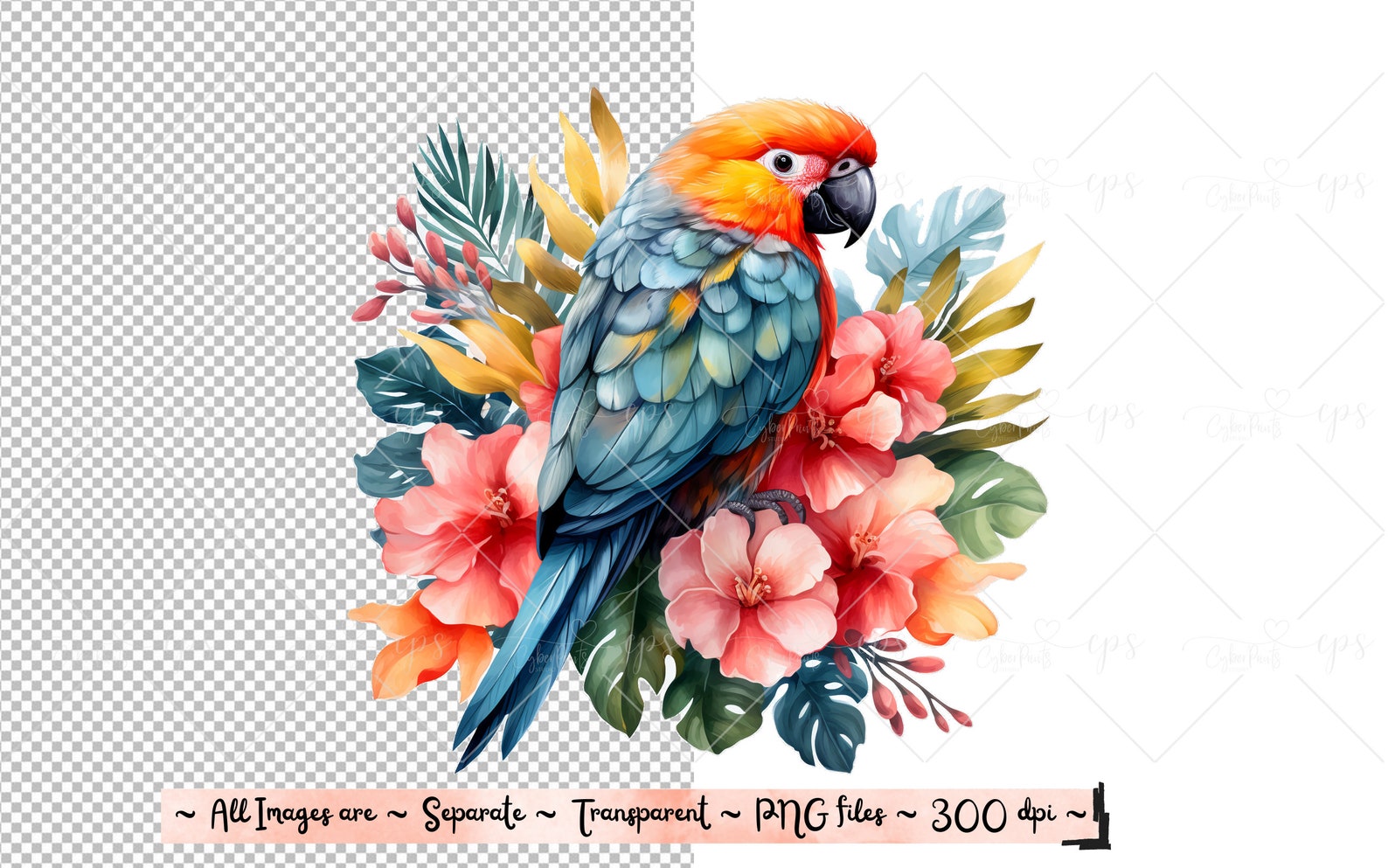 Watercolor Tropical Birds Clipart Tropical Birds With Hibiscus and ...