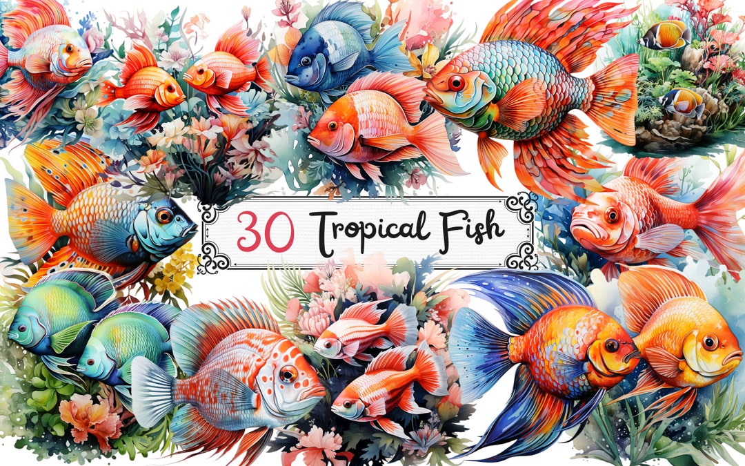Watercolor Tropical Fish Clipart - Ocean Seascape Coral Reefs, Beach ...