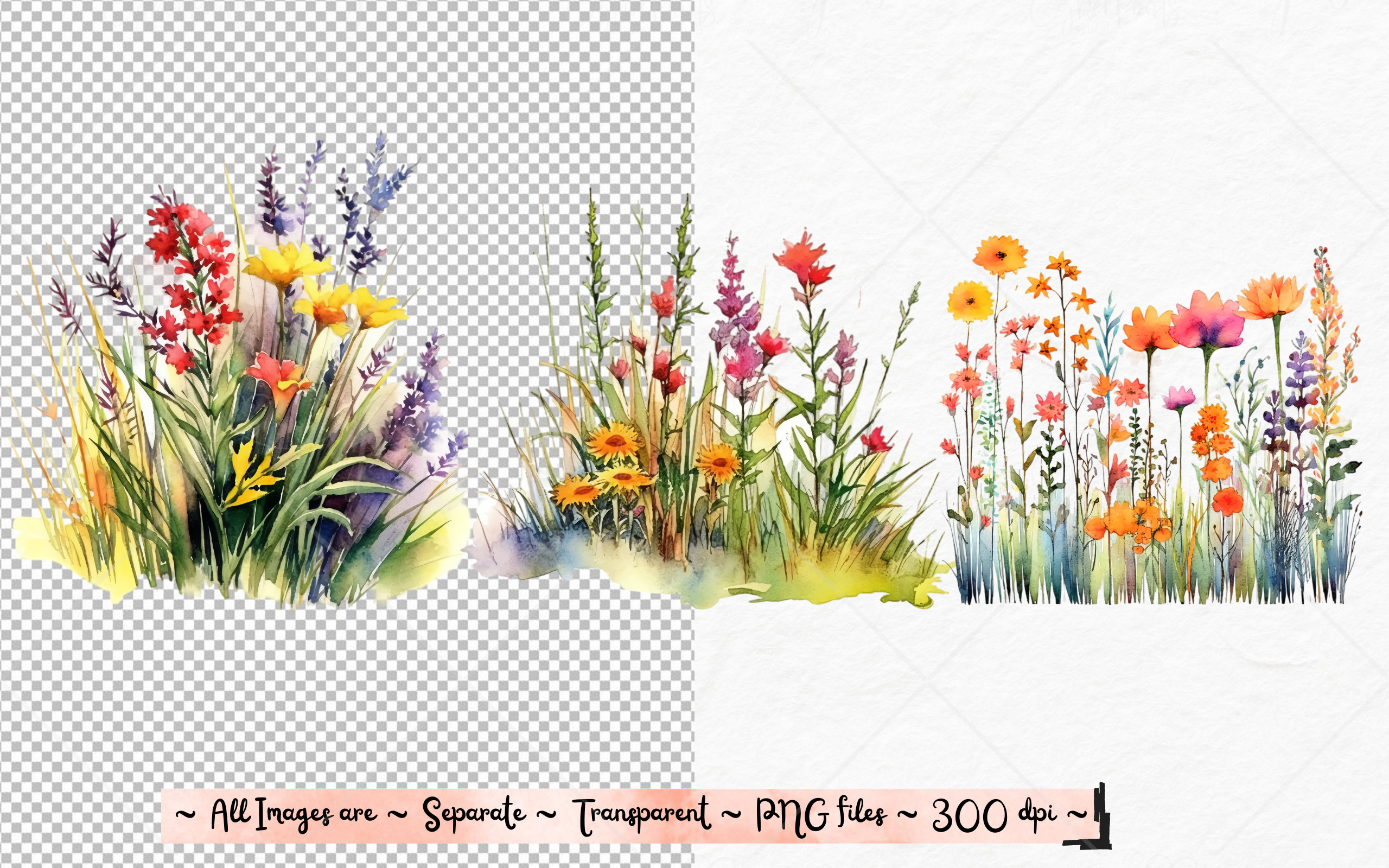 Watercolor Meadow Flowers Clipart Spring Wildflower Floral PNG Format ...