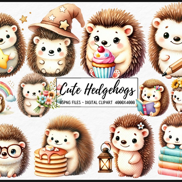 Hedgehogs - Etsy