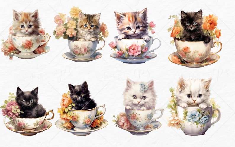 Watercolor Kitten in Teacup Clipart PNG Printable Floral Cat Tea Party ...