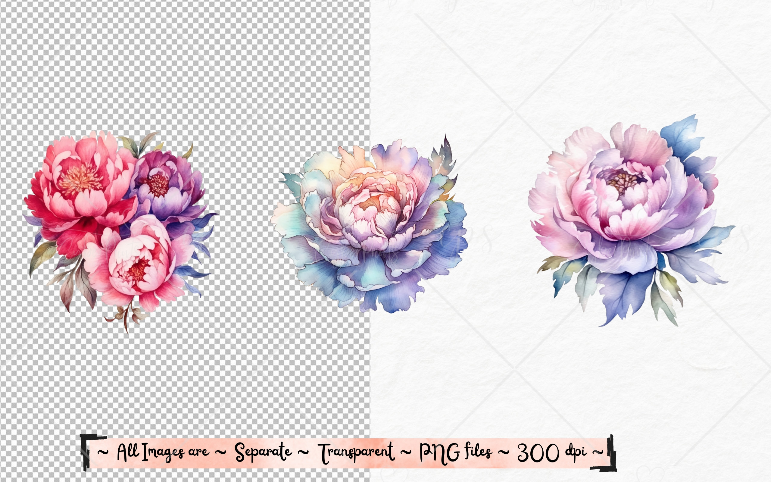Watercolor Peony Clipart - Peonies in PNG Format Instant Download for ...