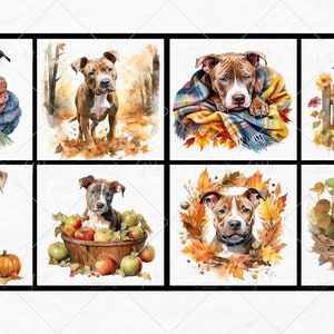 Watercolor Pitbull Clipart, Pitbull Puppy, Autumn Pitbull, Cute Pitbull ...