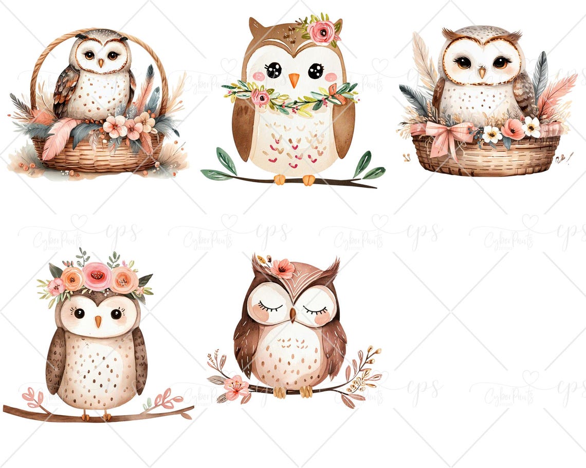 Boho Owl Clipart Bundle - 25 Watercolor PNG Owls With Floral Wreaths ...