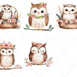 Boho Owl Clipart Bundle - 25 Watercolor PNG Owls With Floral Wreaths ...