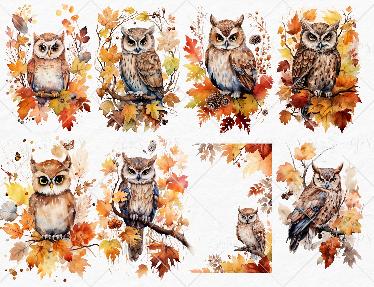 Autumn Cute Owl Watercolor Clipart Fall Animal Clipart PNG - Etsy