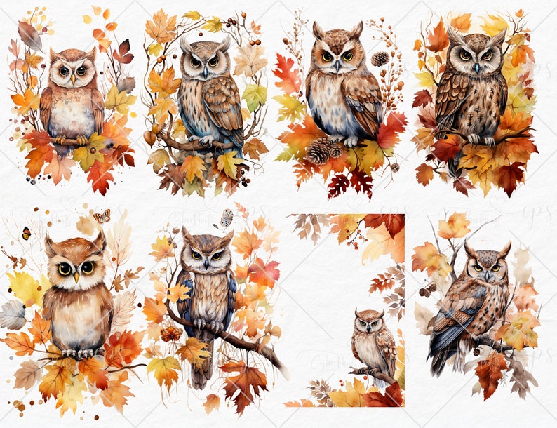 Autumn Cute Owl Watercolor Clipart, Fall Animal Clipart PNG, Kids ...