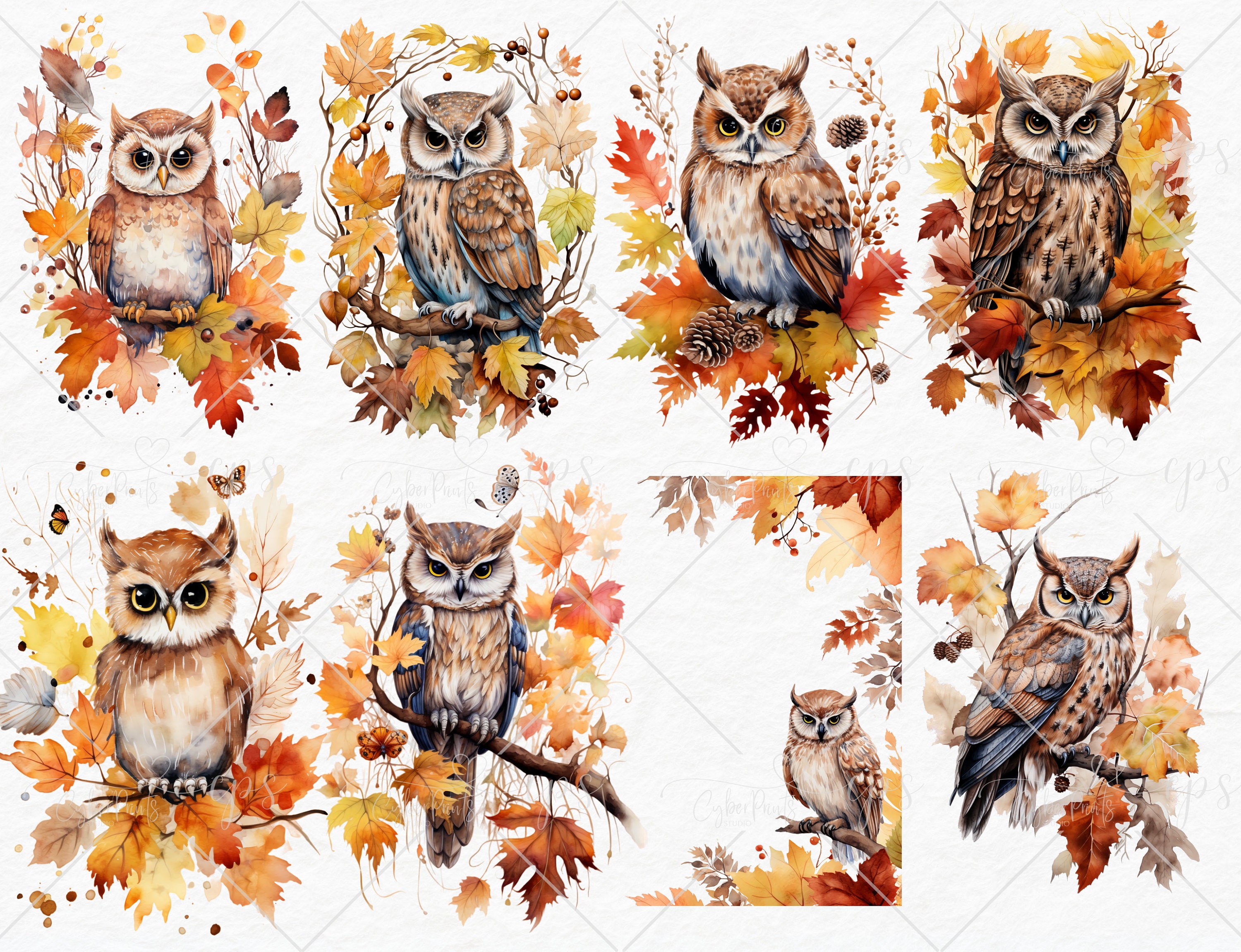 Autumn Cute Owl Watercolor Clipart Fall Animal Clipart PNG - Etsy