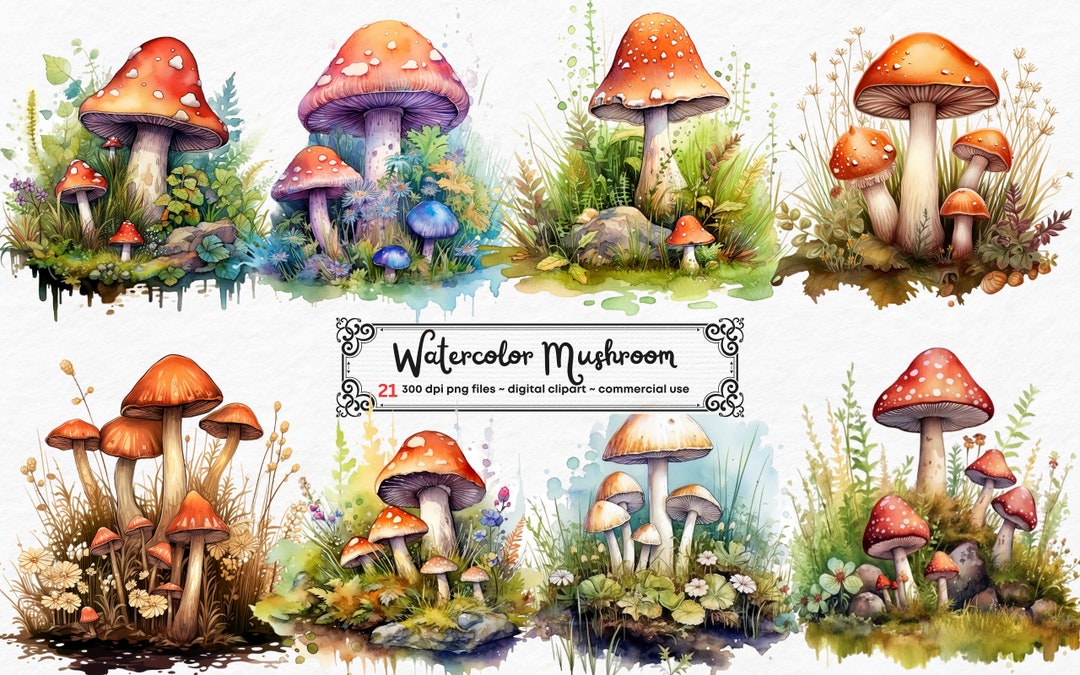 Watercolor Mushrooms Clipart - Cute Forest Nature Toadstool Clip Art ...