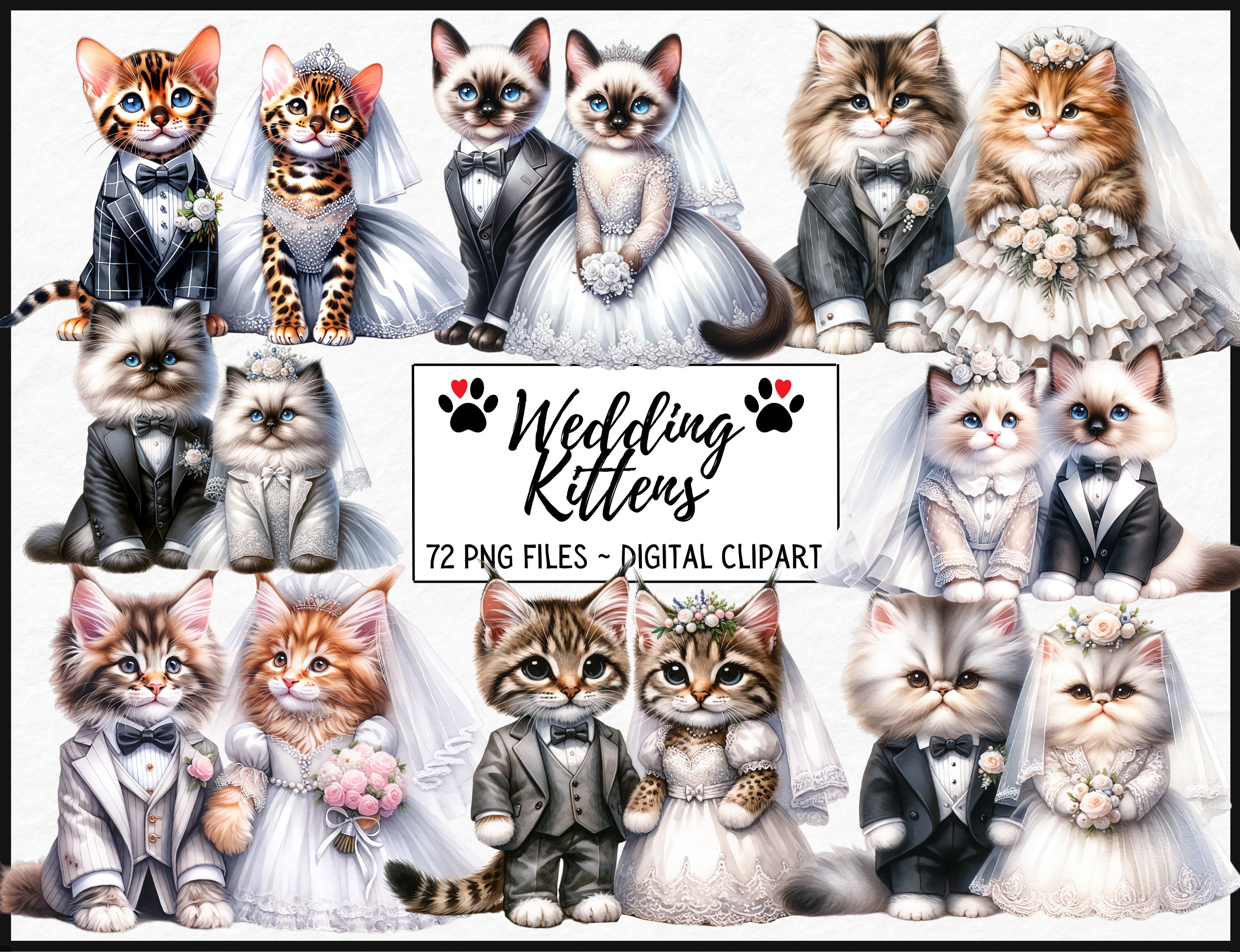 Wedding Cat Watercolor Clipart, Kitten Marriage, Bride and Groom ...