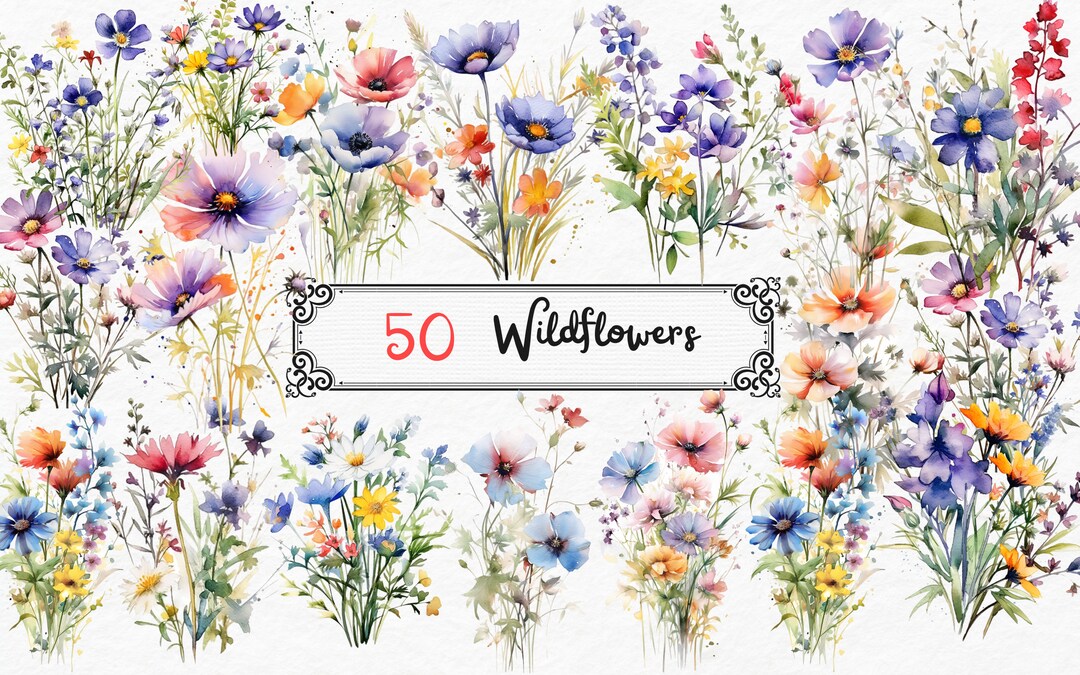 Watercolor Wildflower Clipart - Wildflowers in PNG Format Instant ...