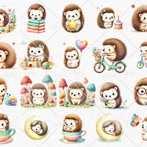 Cute Hedgehogs Clipart, Hedgehog Clipart Bundle, Hedgehog PNG, Cute ...