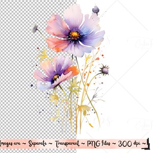 Watercolor Wildflower Clipart - Wildflowers in PNG Format Instant ...