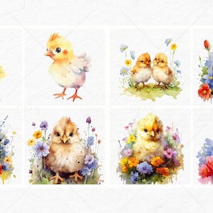 Spring Cute Watercolour Baby Chick Chicken Clipart Easter Clipart Cute ...