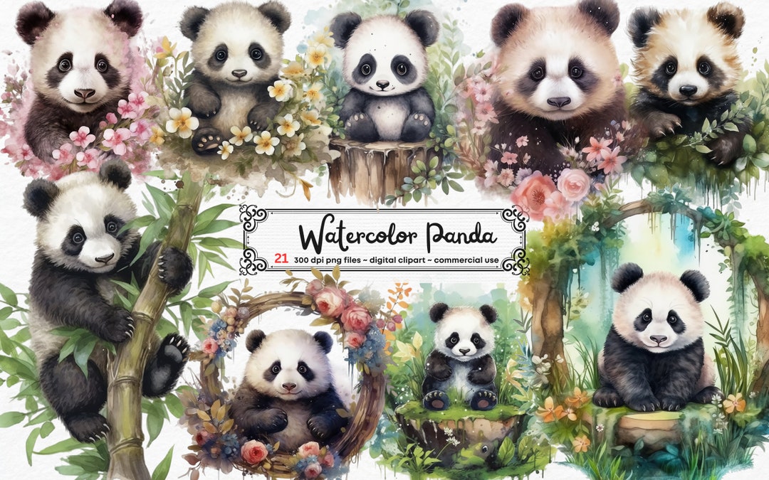 Cute Panda Clipart Watercolor Panda Png, Digital Print, Illustration ...