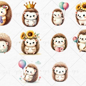 Cute Hedgehogs Clipart, Hedgehog Clipart Bundle, Hedgehog PNG, Cute ...