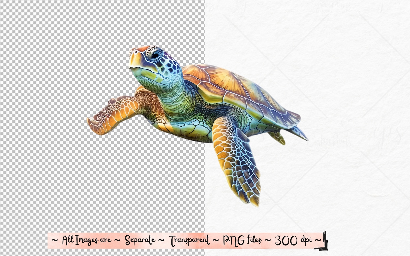 Watercolor Sea Turtle Clipart Cute Nautical Ocean Animals PNG - Etsy