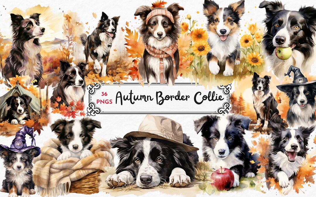 Watercolor Border Collies in Autumn, Halloween Dogs in Autumn, Instant ...
