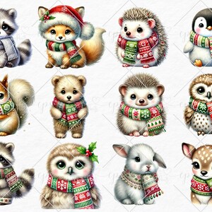 Cute Animal Clipart, Cozy Critters Clipart, Woodland Animals PNG ...