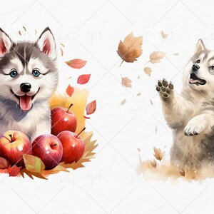 Watercolor Husky in Autumn, Autumn Husky, Fall Husky, Husky Halloween ...