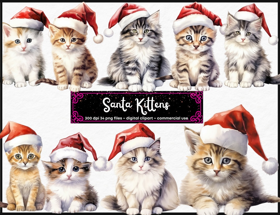 Christmas Cat Clipart, Watercolor Kittens, Santa Hat, Winter Clipart ...
