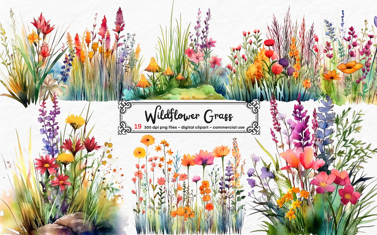 Watercolor Meadow Flowers Clipart Spring Wildflower Floral PNG Format ...
