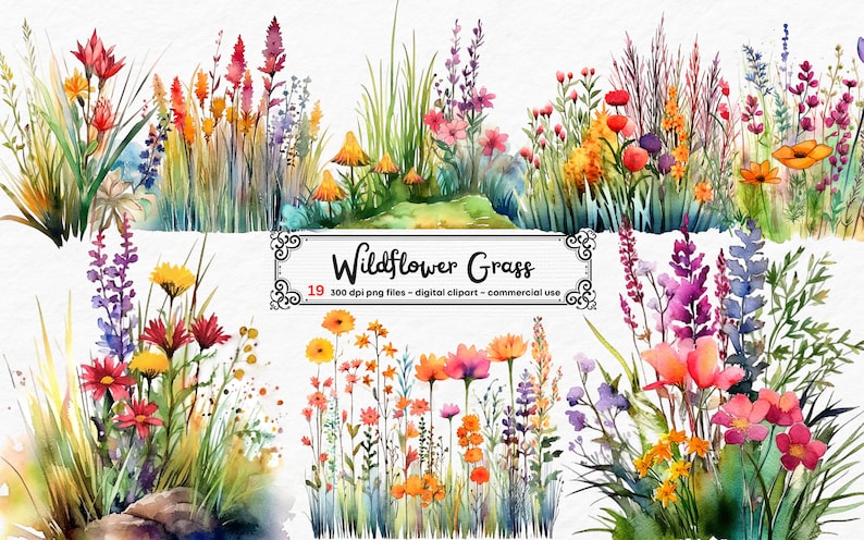 Watercolor Meadow Flowers Clipart Spring Wildflower Floral PNG Format ...