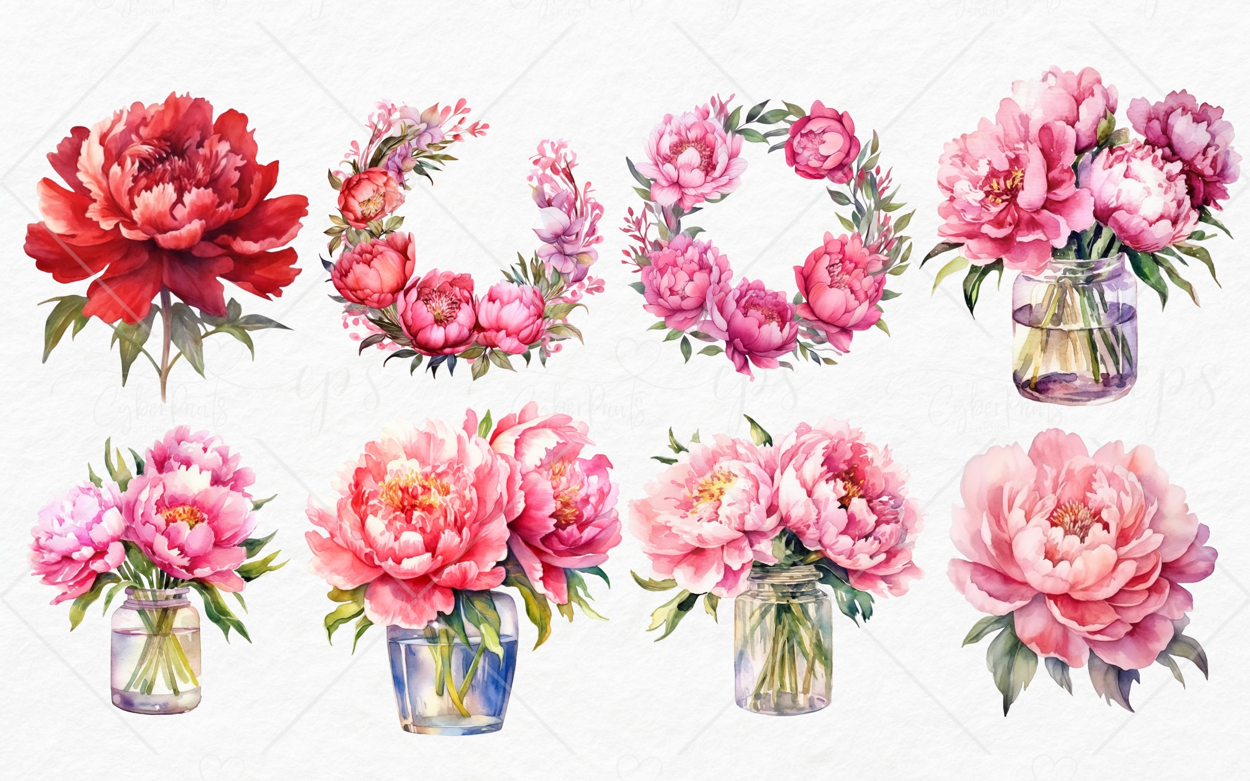Watercolor Peony Clipart - Peonies in PNG Format Instant Download for ...