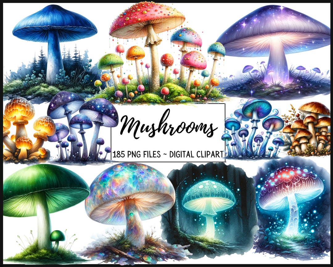 Mushrooms Watercolor Clipart Bundle - 185 PNG Forest Toadstool Graphics ...