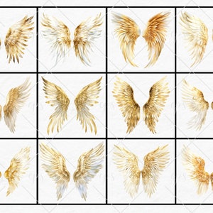 Golden Angel Wings Clipart, Watercolor Clipart, Feather Wings Png ...